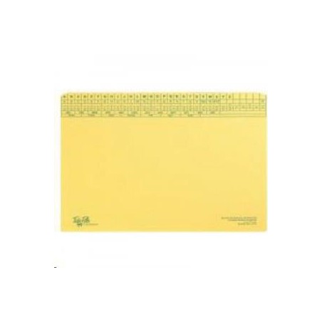 Tidy File Custodian Medium Weight with Tri- Clip 20mm Gusset 44250TC ...
